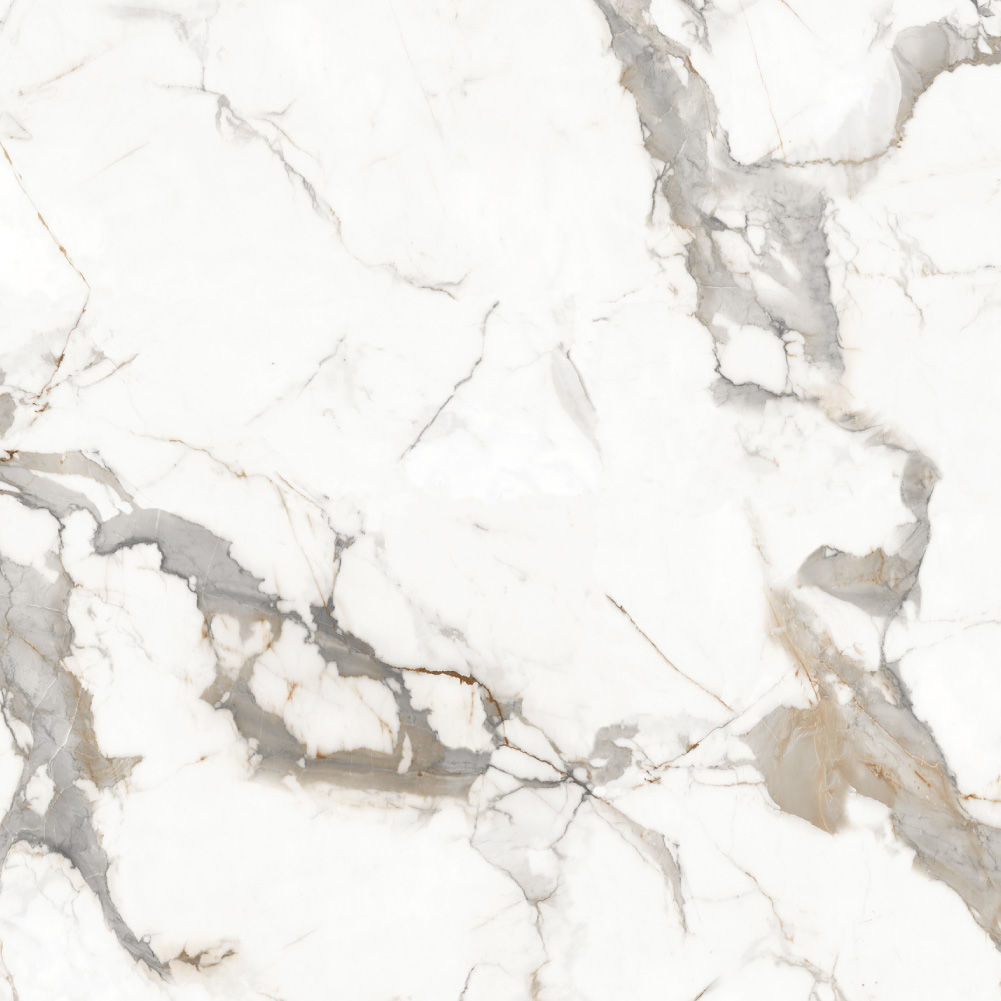 Calacatta Carrara 48'' x 48'' Glossy White Porcelain Tile - | HINTEX | Home Interior & Exterior ...